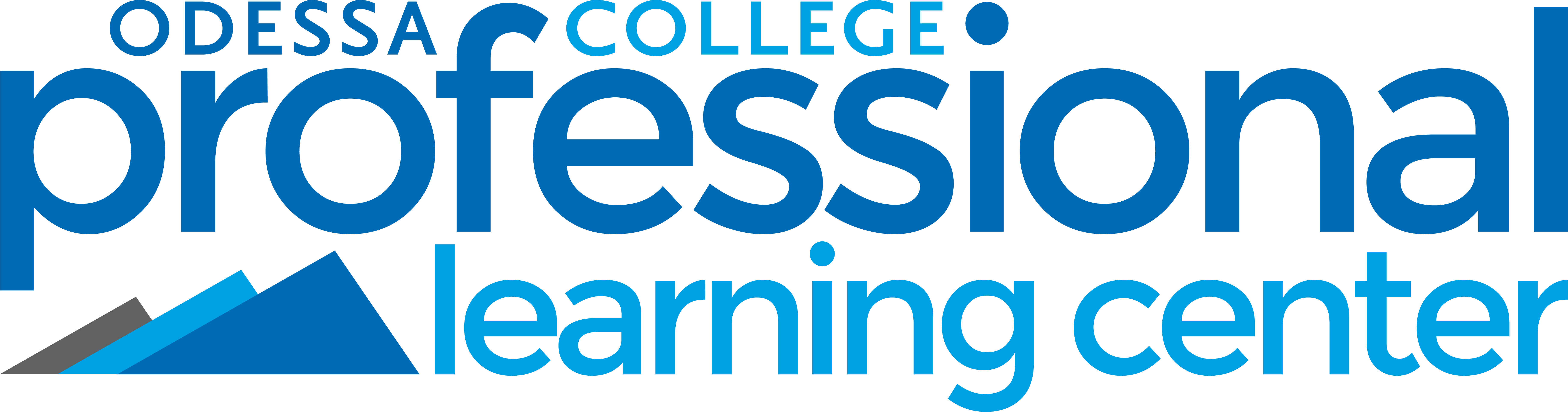 Professional Learning Center